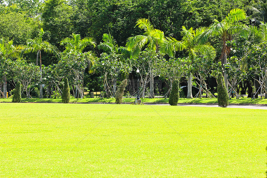 绿公园场景草地花园绿色园林叶子民众美丽土地绿化高清图片下载-正版图片321721704-摄图网