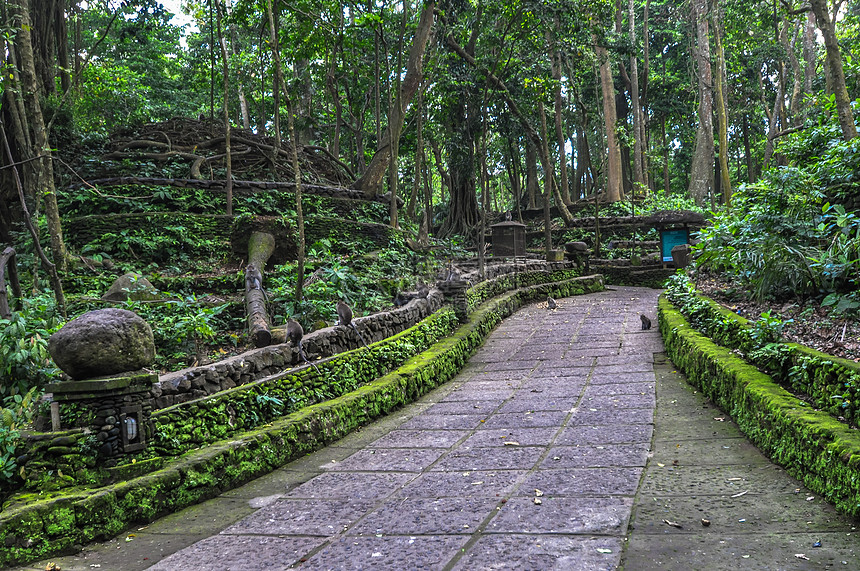 印度尼西亚巴厘岛免版税股票旅行假期异国照片日落旅游风景库存高清图片下载-正版图片321962099-摄图网