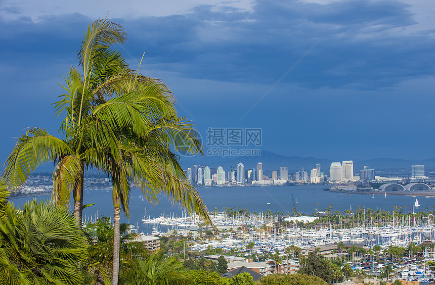 圣地亚哥天际树木海洋手掌摩天大楼码头场景建筑学建筑物地标城市高清图片下载-正版图片321966105-摄图网