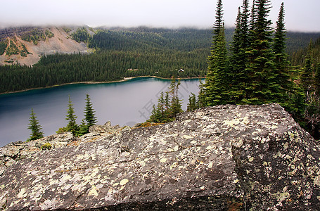加拿大洛基山脉的山鸟林高清图片下载-正版图片320375141-摄图网