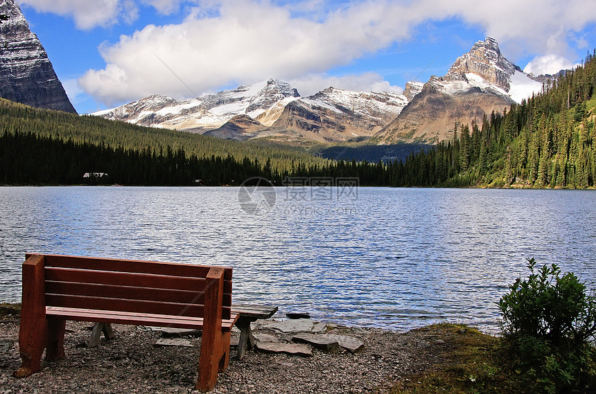 加拿大不列颠哥伦比亚省约霍国家公园奥哈拉湖松树高原国家森林荒野公园反射树木天空长椅高清图片下载-正版图片321980605-摄图网