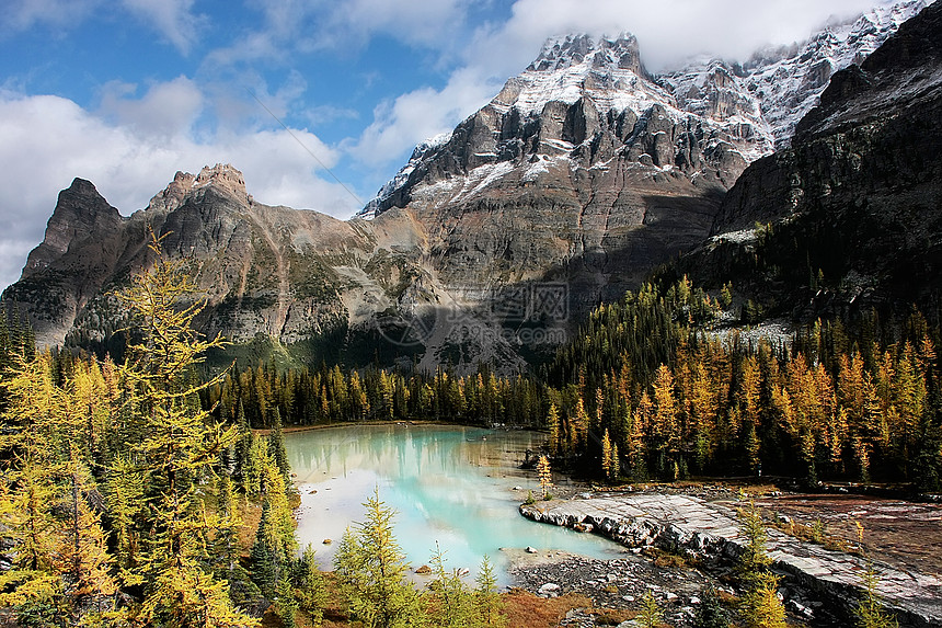 加拿大约霍国家公园Huber山和Opabin高原公园反射荒野松树蓝色森林天空国家冰川树木高清图片下载-正版图片321980666-摄图网