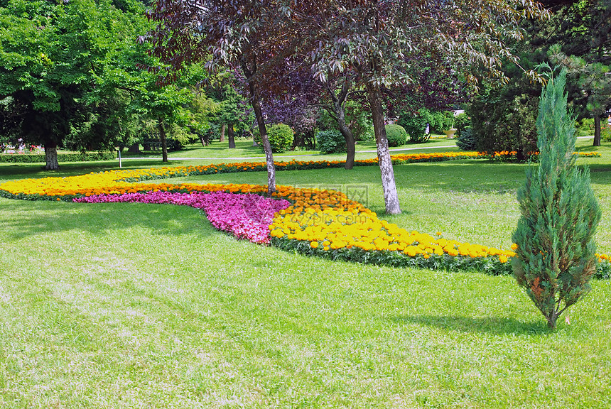 美丽的花园后院农场草地公园植物群花坛场景植物生长季节高清图片下载-正版图片322020697-摄图网