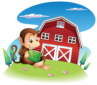 大马猴插画_大马猴卡通_大马猴插图_手绘_板绘_摄图网