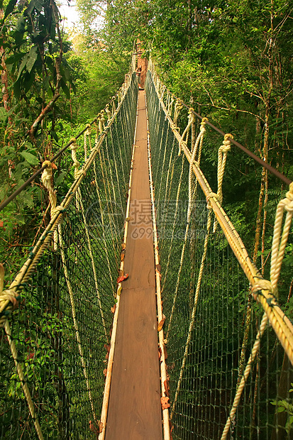 马来西亚国家公园Canopy步行道人行道森林丛林冒险国家绿色爬坡公园绳索踪迹高清图片下载-正版图片322162177-摄图网