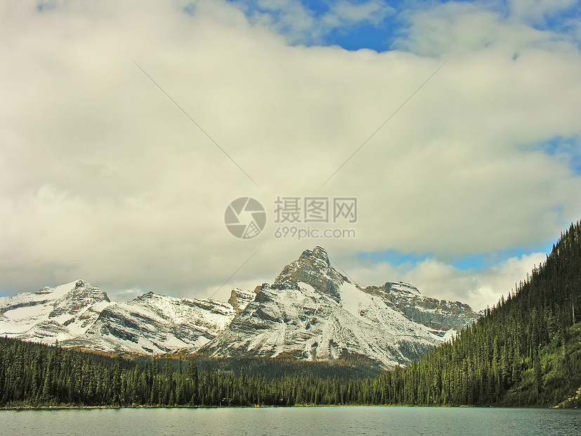 加拿大不列颠哥伦比亚省约霍国家公园奥哈拉湖森林国家松树树木高原冰川高山公园反射荒野高清图片下载-正版图片322164410-摄图网
