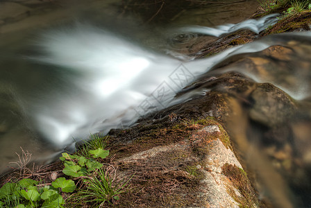 溪水logo图片_溪水logo素材图片大全_摄图网