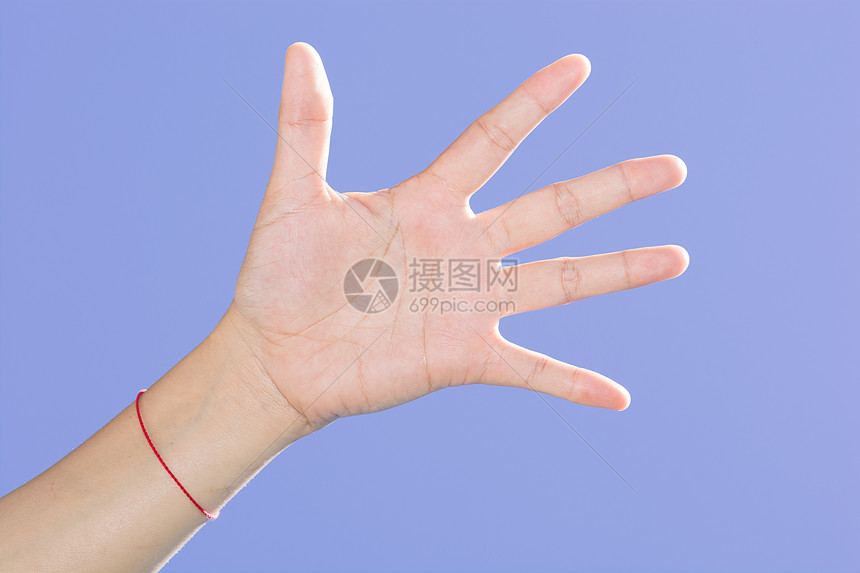 五根五手指拇指天空手腕手指棕榈高清图片下载-正版图片322228728-摄图网