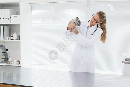 实验兔子图片_实验兔子素材_实验兔子高清图片_摄图网图片下载