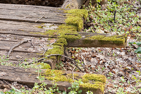 Mos图片_Mos素材_Mos高清图片_摄图网图片下载