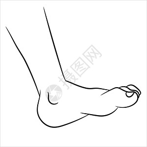 卡通手脚图片_卡通手脚素材_卡通手脚高清图片_摄图网图片下载