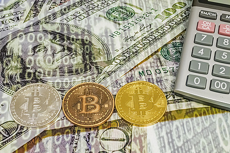 coi图片_coi素材_coi高清图片_摄图网图片下载