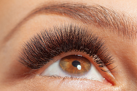 long图片_long素材_long高清图片_摄图网图片下载