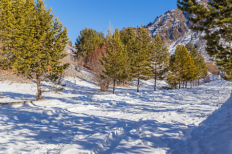 AK图片_AK素材_AK高清图片_摄图网图片下载