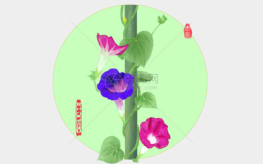 牵牛花插画图片下载-正版图片400106880-摄图网