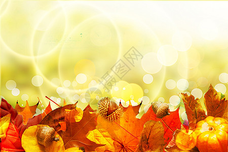 大山红叶banner海报背景图片素材-正版创意图片500354892-摄图网