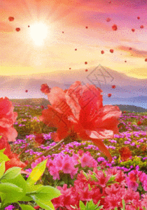 映山红图片_映山红素材_映山红高清图片_摄图网图片下载