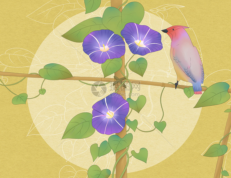 牵牛花插画图片下载-正版图片401087478-摄图网