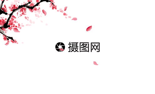 花瓣飘落唯美动态图片 - 动态图库网