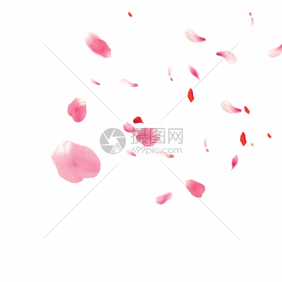 飞舞花瓣gif动图图片-正版gif素材401352177-摄图网