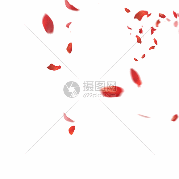 飞舞的花瓣gif动图图片-正版gif素材401356833-摄图网