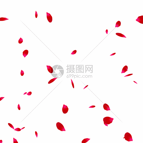 花瓣gif动图图片-正版gif素材401356863-摄图网