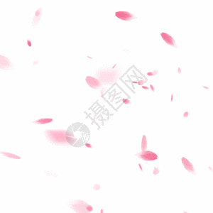 樱花飘落GIF动图图片-正版gif素材401435740-摄图网