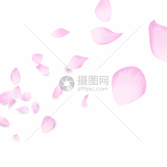 花瓣gif动图图片-正版gif素材401366034-摄图网