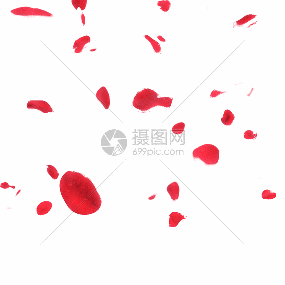 花瓣gif动图图片-正版gif素材401402033-摄图网