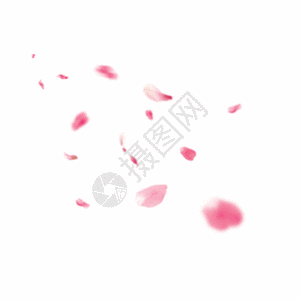 花瓣gif动图图片-正版gif素材401402092-摄图网