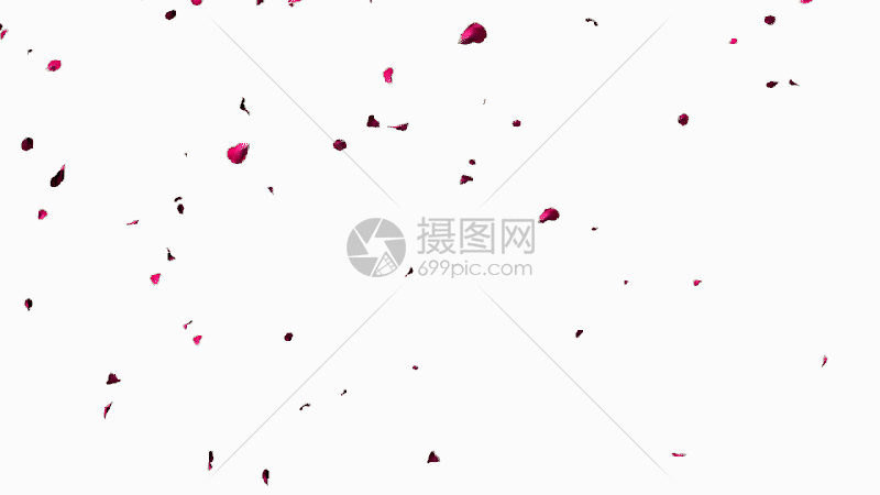 花瓣飘落gif动图图片-正版gif素材401406247-摄图网