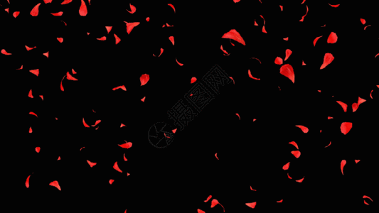 花朵花瓣飘落gif动图图片-正版gif素材401406404-摄图网