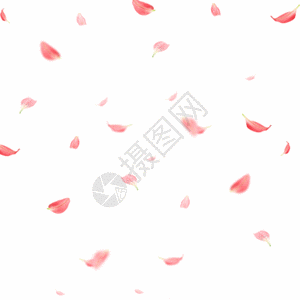 花瓣gif动图图片-正版gif素材401352196-摄图网