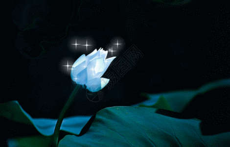 开花gif图片-开花动态图-开花gif格式下载-摄图网