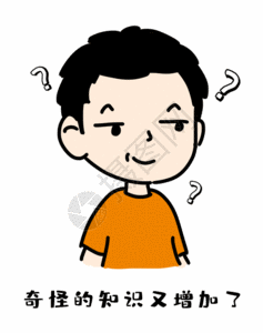 女孩疑问表情包GIF动图图片-正版gif素材401655649-摄图网