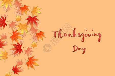感恩节图片素材-正版创意图片401867559-摄图网
