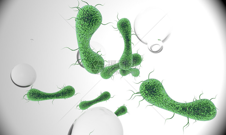 显微镜下细菌图片素材-正版创意图片401870439-摄图网
