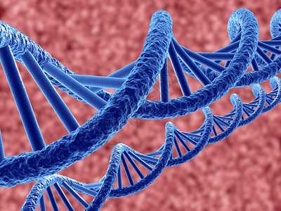 3D说明RNA与RN图片素材-正版创意图片402390890-摄图网