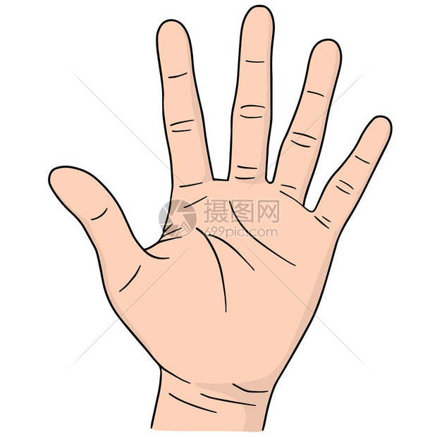 矢量集的卡通手插画图片下载-正版图片402294513-摄图网