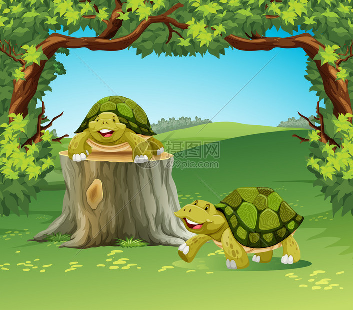 田野插图中的两只乌龟插画图片下载-正版图片402304113-摄图网