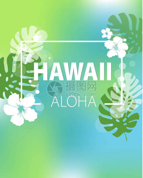 Aloha插画图片下载-正版图片402314652-摄图网