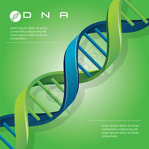 Dna树图标Log插画图片下载-正版图片402348672-摄图网