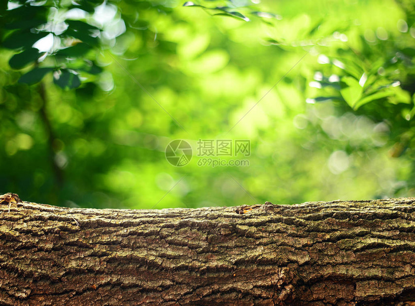 产品显示蒙戴的Woode高清图片下载-正版图片402359632-摄图网