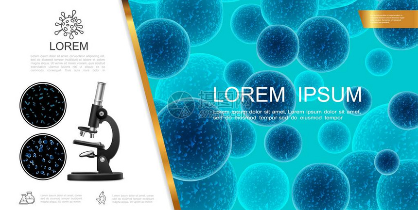 培养皿上显微镜细胞和蓝色圆形细菌的真实微生物学组合插画图片下载-正版图片402361529-摄图网