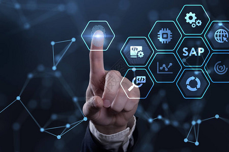 Sap图片_Sap素材_Sap高清图片_摄图网图片下载