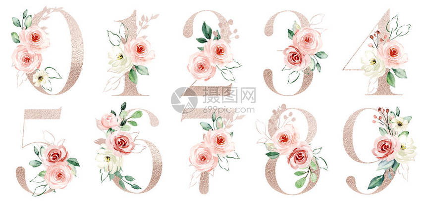 配有水彩花玫瑰和叶子的数字插画图片下载-正版图片402386333-摄图网