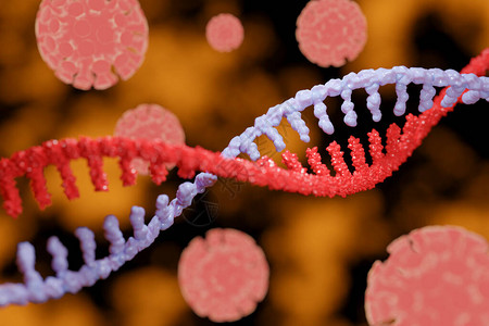 rna图片_rna素材_rna高清图片_摄图网图片下载