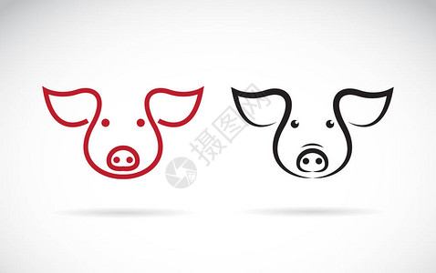 猪头图片_猪头素材_猪头高清图片_摄图网图片下载