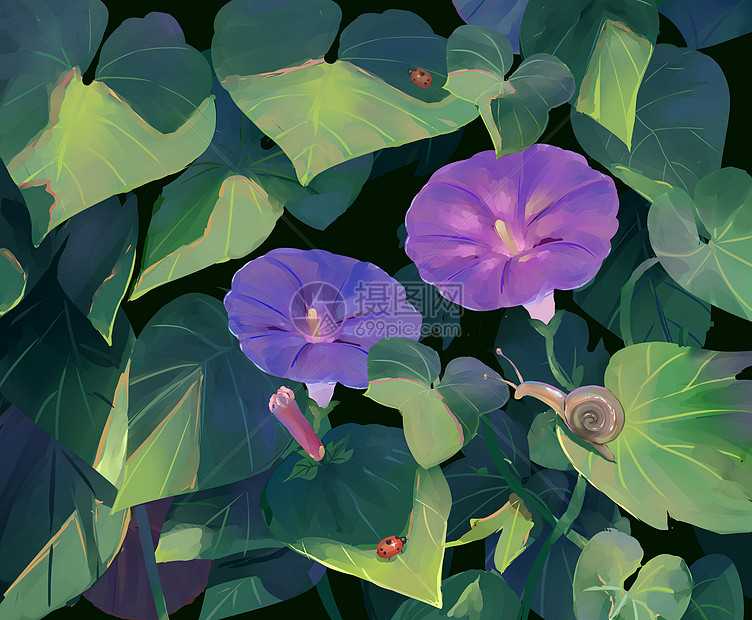 牵牛花特写插画图片下载-正版图片402426592-摄图网