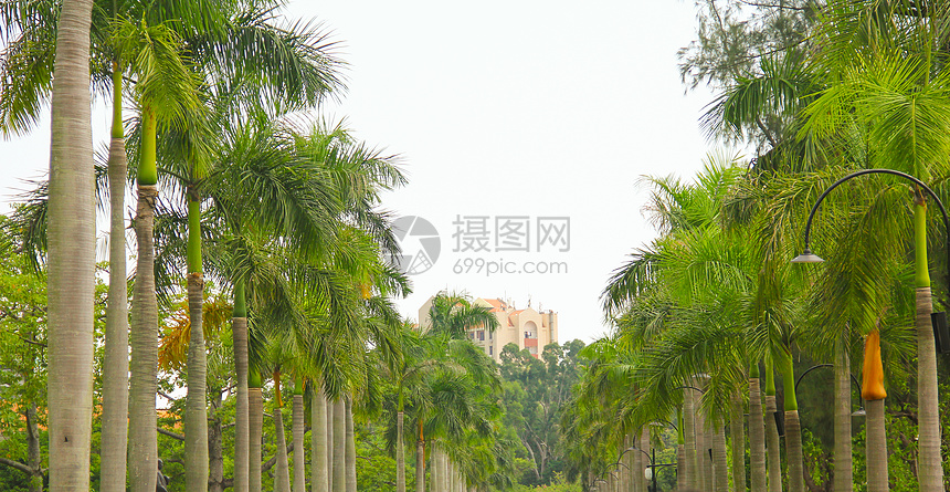 厦门大学高清图片下载-正版图片500688557-摄图网